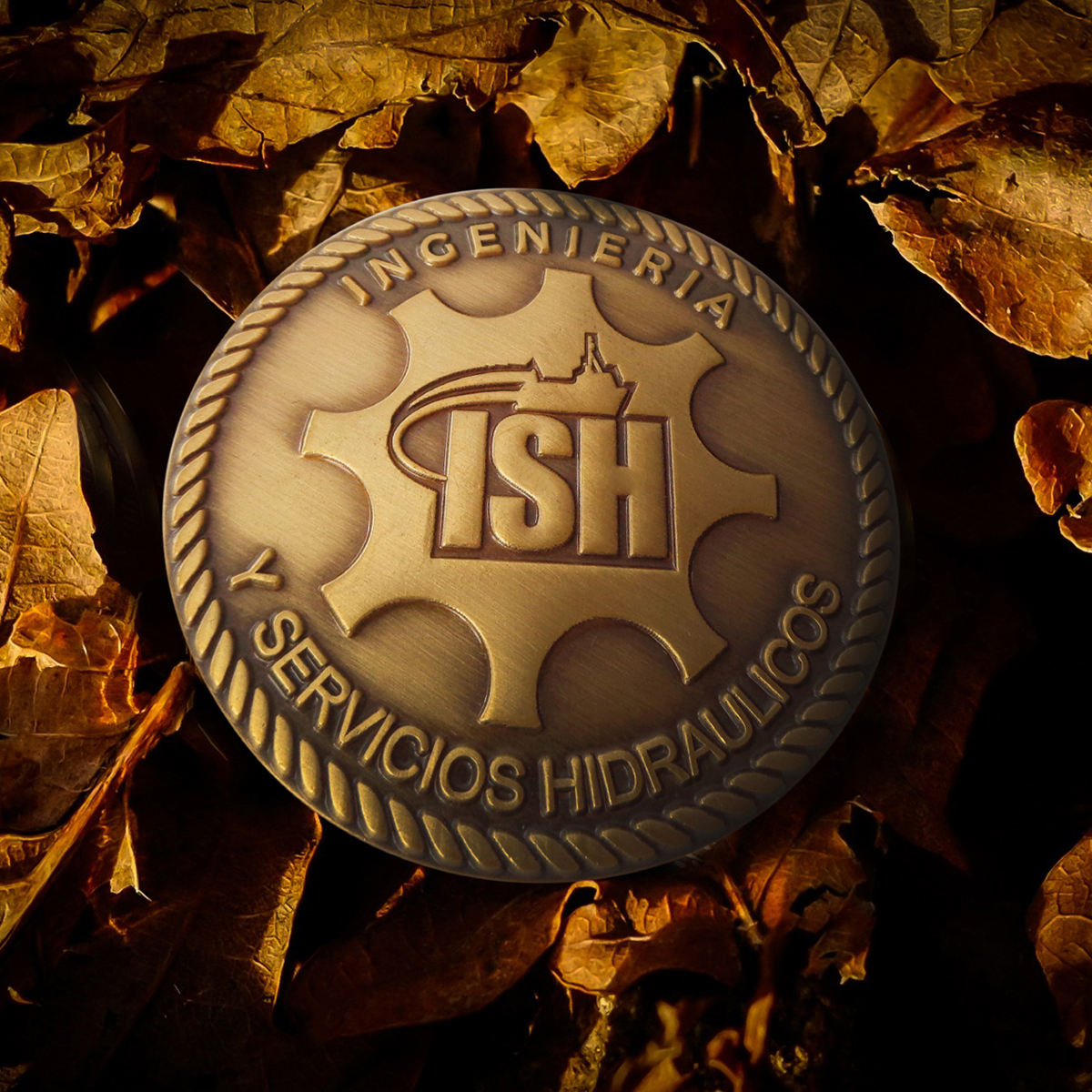 Create Your Own Custom Coins Mold Online, Commemorative Gold Challenge ...